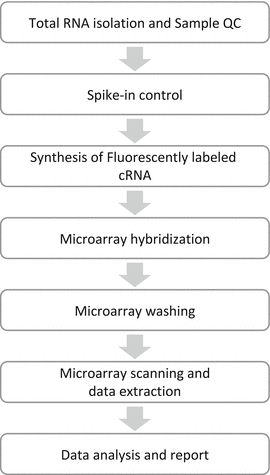 Long Noncoding RNA Expression Profiling Using Arraystar LncRNA Microarrays | SpringerLink