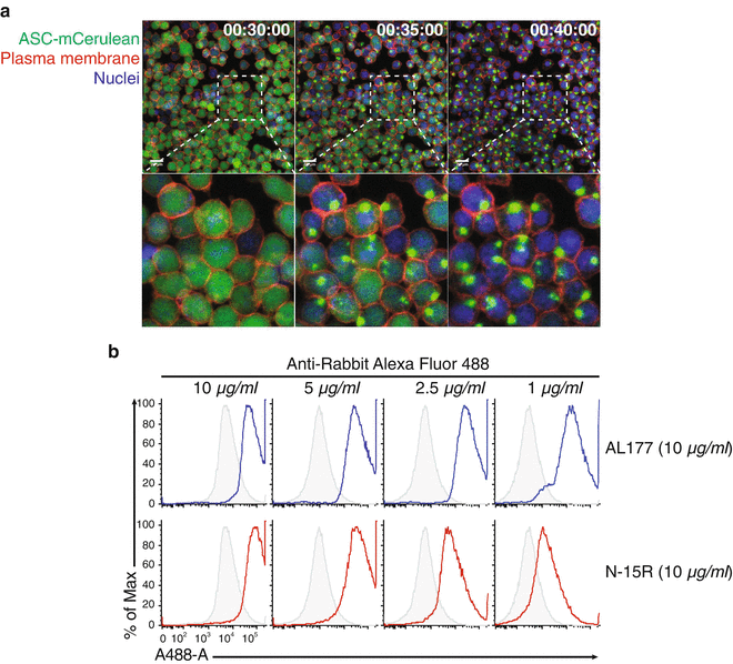 Measuring NLR Oligomerization II: Detection of ASC Speck Formation by ...