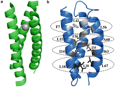 De Novo Design of Metalloproteins and Metalloenzymes in a Three-Helix ...