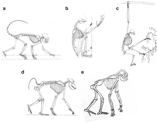 Patterns, Variability, and Flexibility of Hand Posture During ...