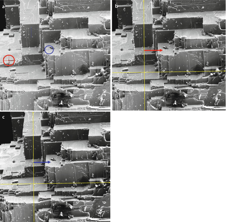 SEM Case Studies | SpringerLink