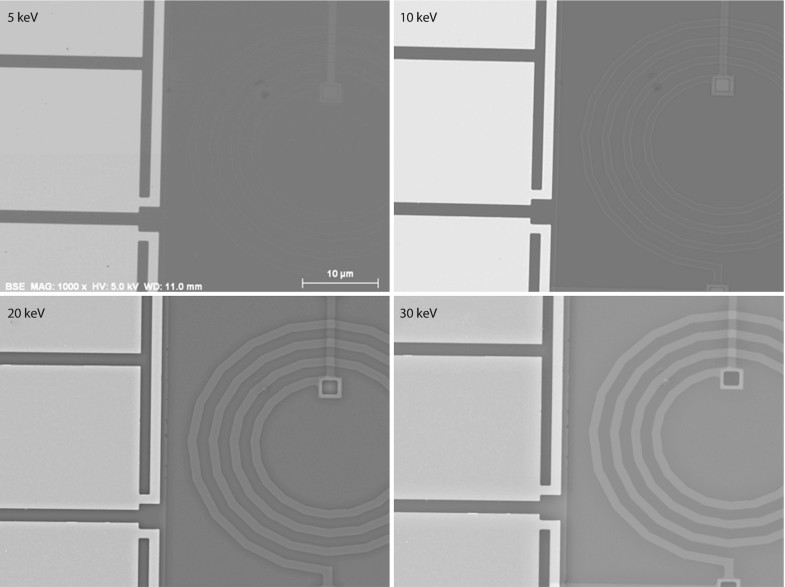 Backscattered Electrons | SpringerLink