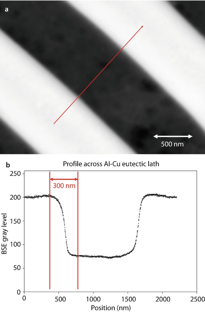 Backscattered Electrons | SpringerLink