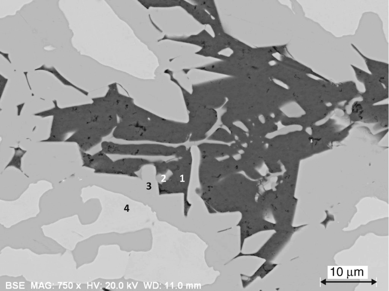 Backscattered Electrons | SpringerLink