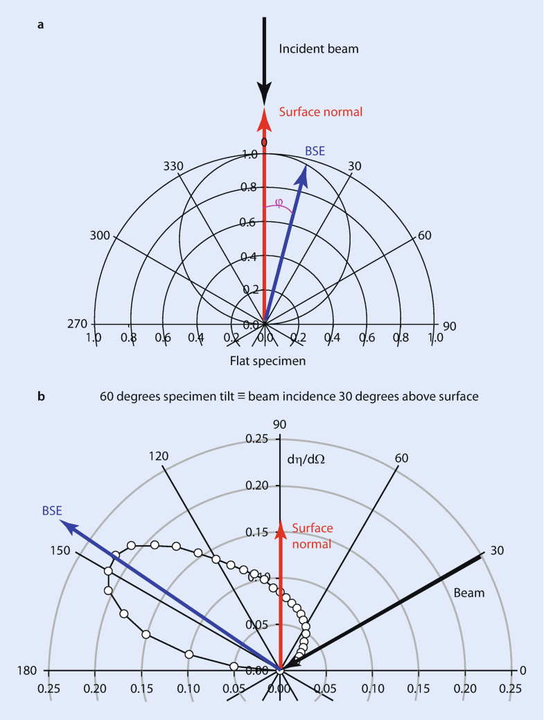 Backscattered Electrons | SpringerLink