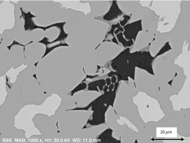 SEM Image Interpretation | SpringerLink