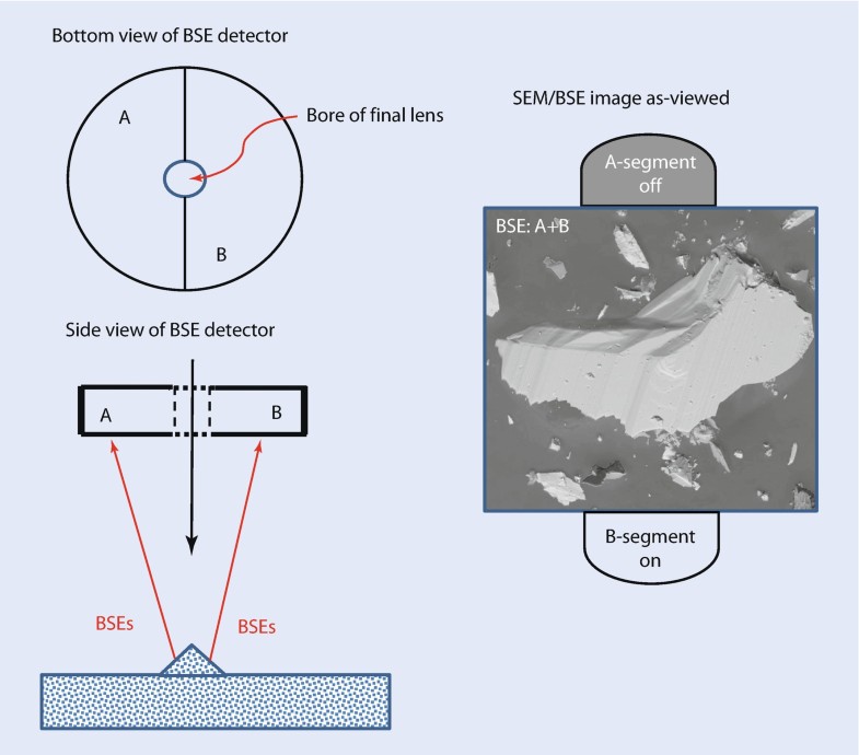 SEM Image Interpretation | SpringerLink