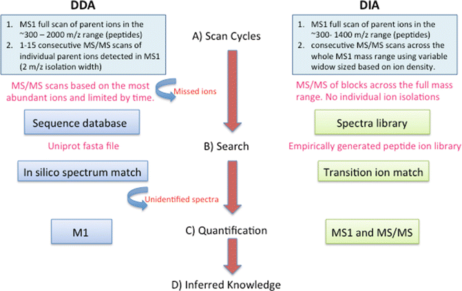 Mapping Biological Networks from Quantitative Data-Independent Acquisition Mass Spectrometry ...