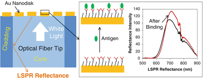 Localized Surface Plasmon Resonance (LSPR)-Coupled Fiber-Optic Nanoprobe for the Detection of ...