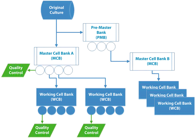 Quality Assured Characterization of Stem Cells for Safety in Banking ...