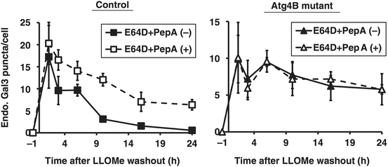Lysophagy: A Method for Monitoring Lysosomal Rupture Followed by ...