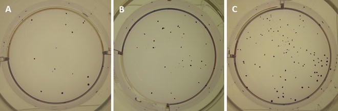 In Vitro Tumorigenic Assay: Colony Forming Assay for Cancer Stem Cells ...