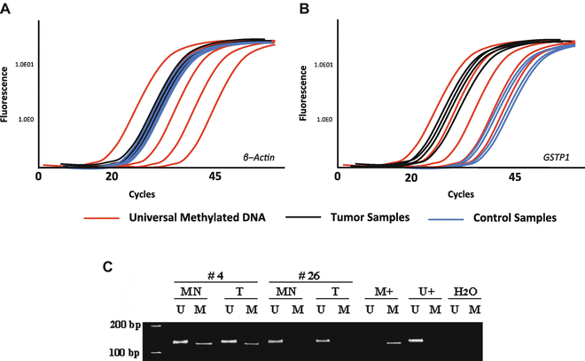 Methylation-Specific PCR | SpringerLink