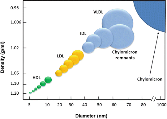 Isolation of Plasma Lipoproteins as a Source of Extracellular RNA ...