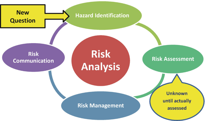 Risk Analysis (Part 1 of 3): Basic Fundamentals | SpringerLink