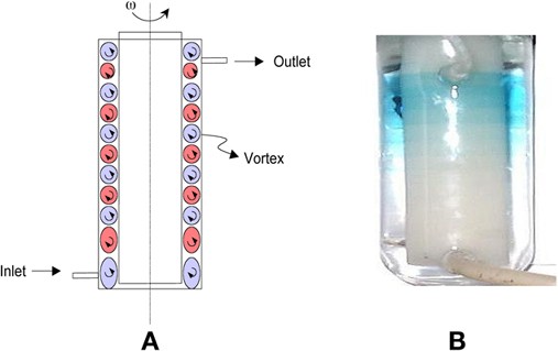 Taylor-Couette Vortex Flow in Enzymatic Reactors | SpringerLink