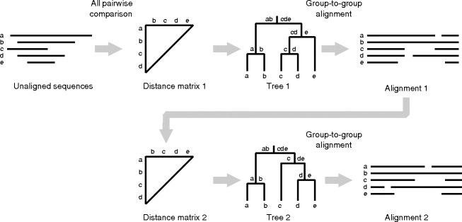 Multiple Alignment of DNA Sequences with MAFFT | SpringerLink