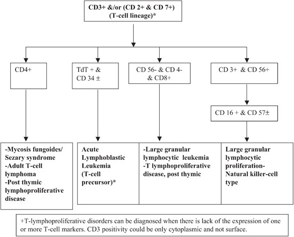 The Use of the Antibodies in the Diagnosis of Leukemia and Lymphoma by ...