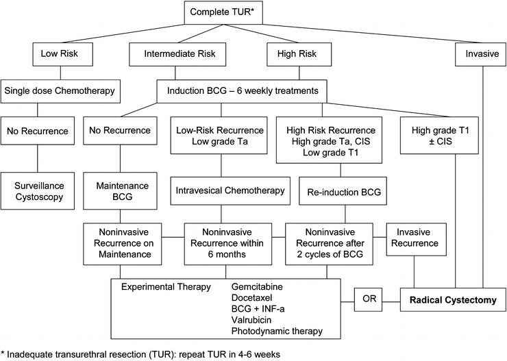 BCG Refractory Disease | SpringerLink