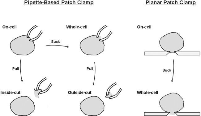 Planar Patch Clamp: Advances in Electrophysiology | SpringerLink