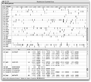 OLIGO 7 Primer Analysis Software | SpringerLink