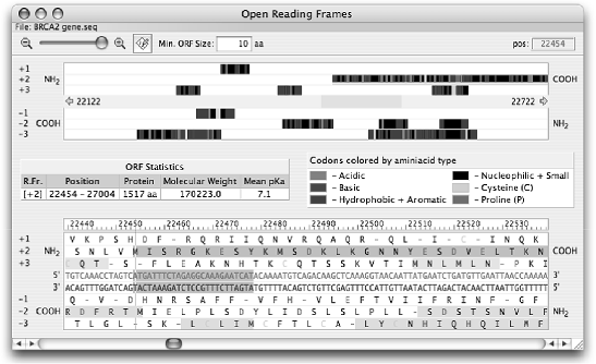OLIGO 7 Primer Analysis Software | SpringerLink