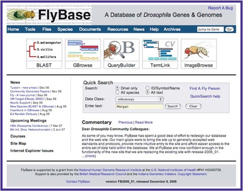 FlyBase | SpringerLink