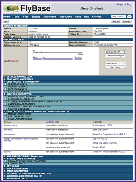 FlyBase | SpringerLink
