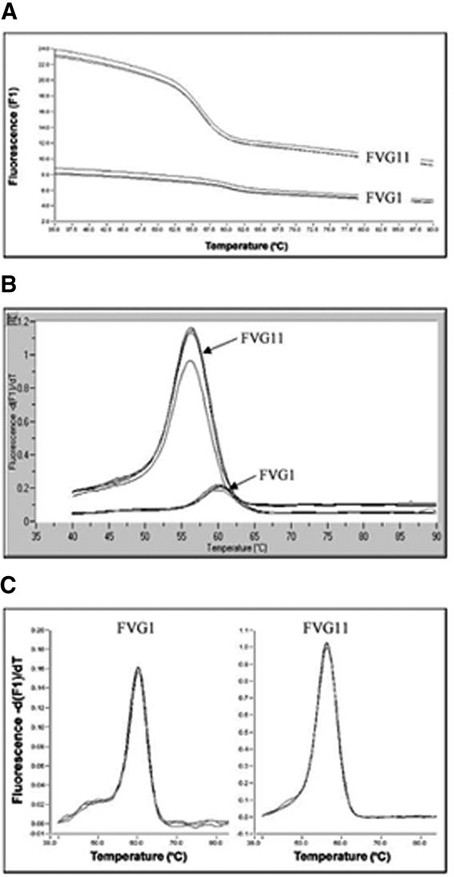 HyBeacon® Probes for Rapid DNA Sequence Detection and Allele ...
