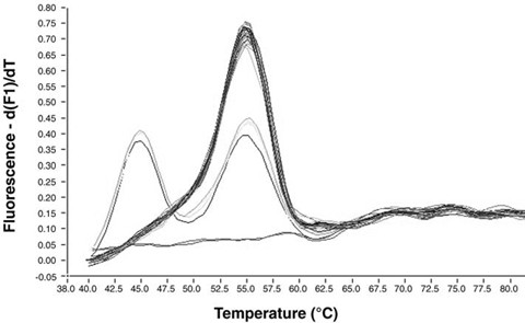 HyBeacon® Probes for Rapid DNA Sequence Detection and Allele ...