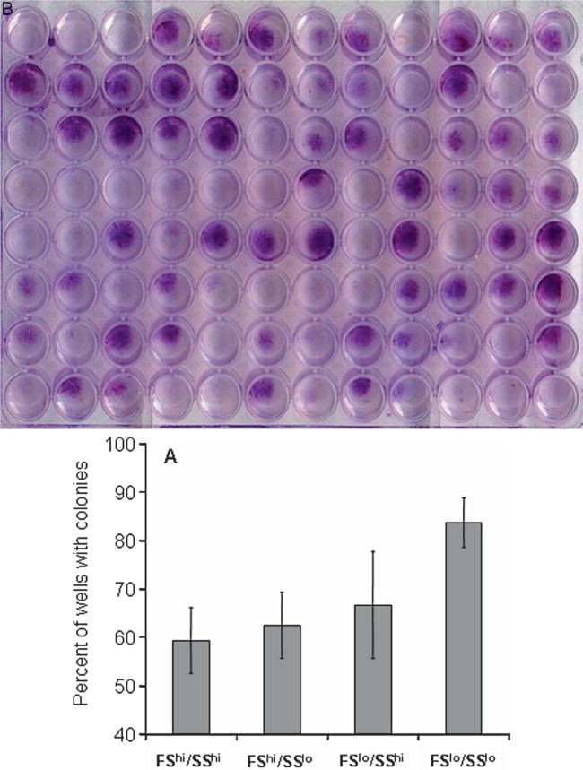 Colony Forming Unit Assays for MSCs | SpringerLink