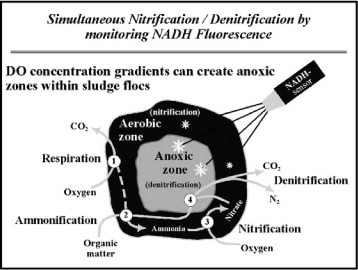 Simultaneous Nitrification and Denitrification (SymBio® Process ...