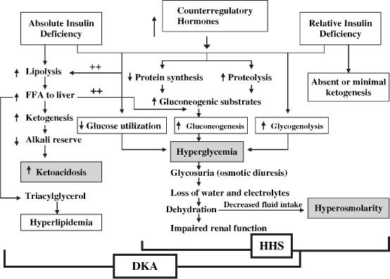Hyperglycemic Crises: Diabetic Ketoacidosis (DKA) and Hyperglycemic ...