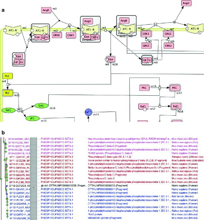 PANTHER Pathway: An Ontology-Based Pathway Database Coupled with Data ...