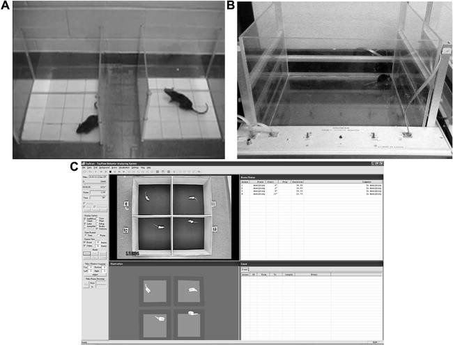 The Open Field Test | SpringerLink