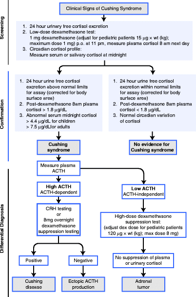 Cushing Syndrome in Childhood | SpringerLink
