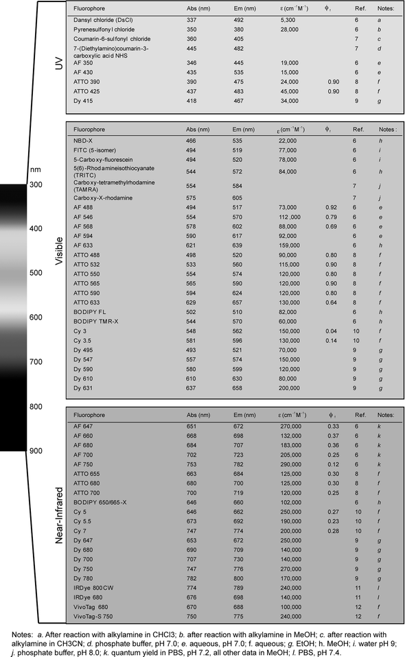 Labels and Probes for Live Cell Imaging: Overview and Selection Guide ...