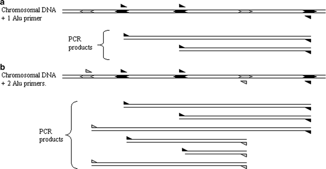 Alu PCR | SpringerLink