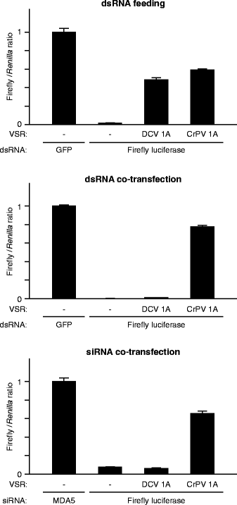 Identification of Viral Suppressors of RNAi by a Reporter Assay in ...
