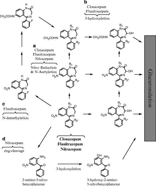 Drug Interactions with Benzodiazepines: Epidemiologic Correlates with ...