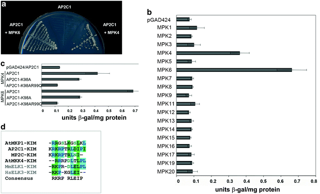 Substrate Analysis of Arabidopsis PP2C-Type Protein Phosphatases ...