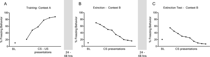 Fear Conditioning and Extinction as a Model of PTSD in Mice | SpringerLink