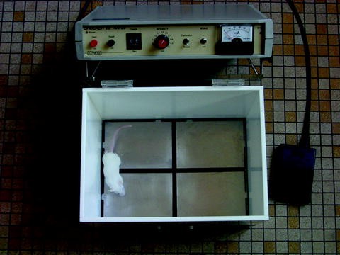 The Four-Plate Test in Mice | SpringerLink