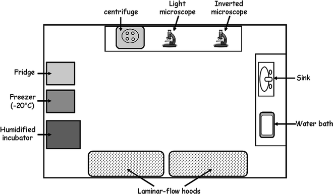 Introduction to Cell Culture | SpringerLink
