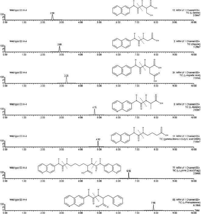 Combination of an AccQ·Tag-Ultra Performance Liquid Chromatographic ...