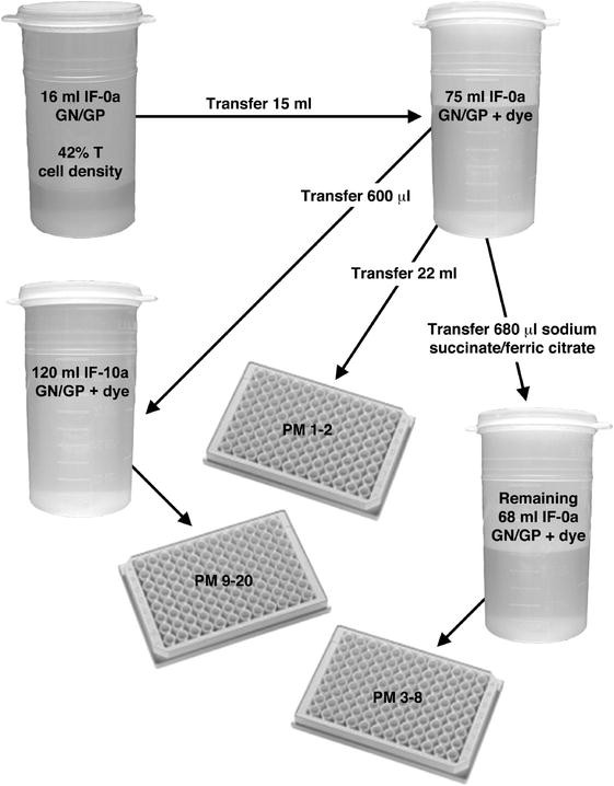 Biolog Phenotype Microarrays | SpringerLink