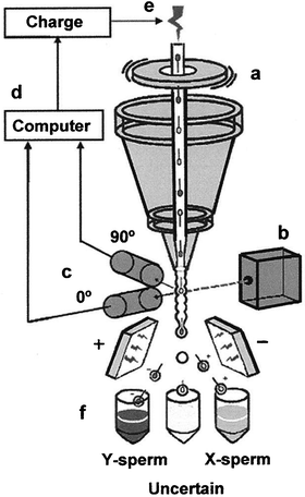 Sex-Sorting Sperm Using Flow Cytometry/Cell Sorting | SpringerLink