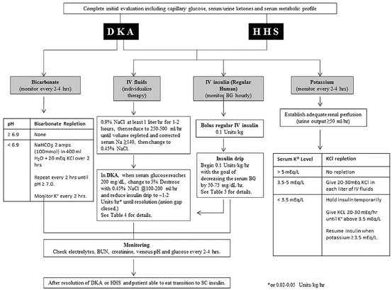 Diabetic Ketoacidosis and Hyperosmolar Hyperglycemic Syndrome ...