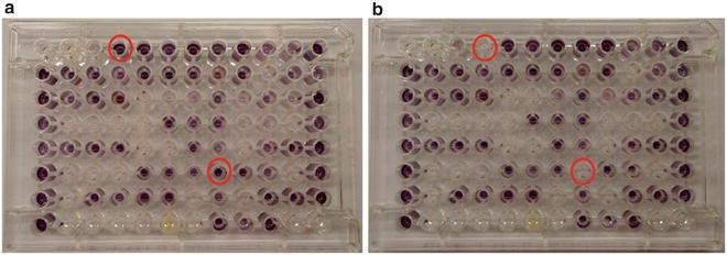 Biolog Phenotype MicroArrays for Phenotypic Characterization of ...