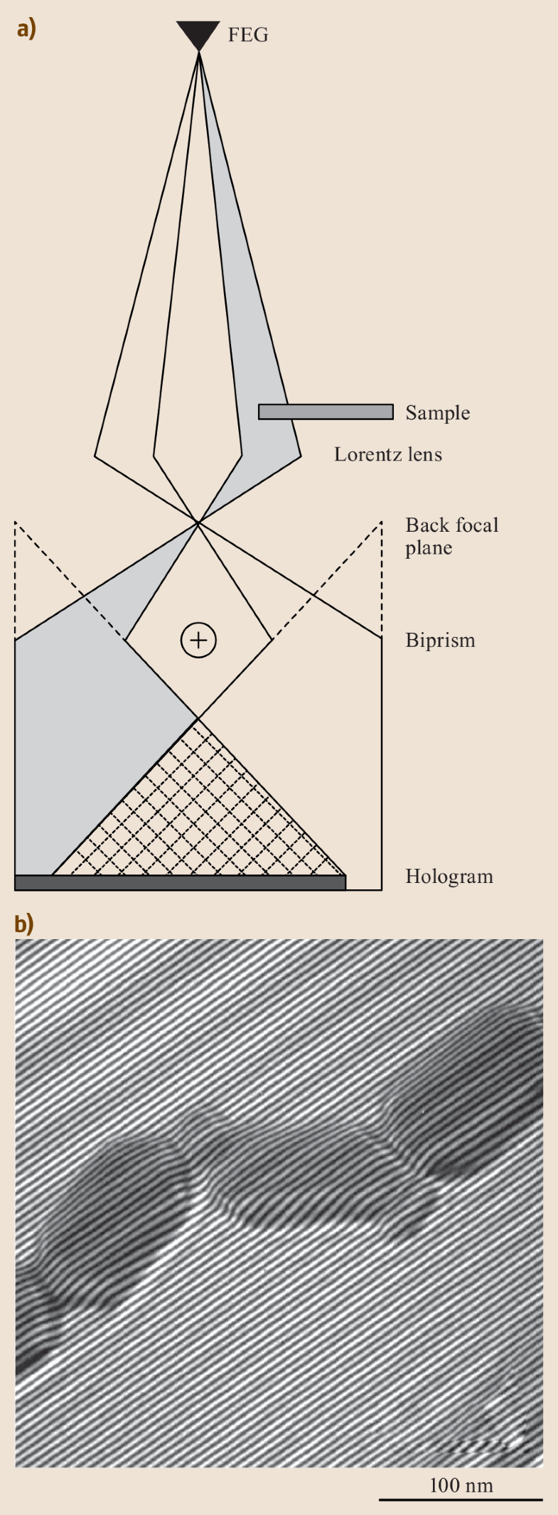 Electron Holography | SpringerLink